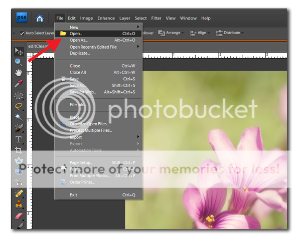 Tutorial showing how to batch process with ACR in Photoshop Elements | Everyday Elements